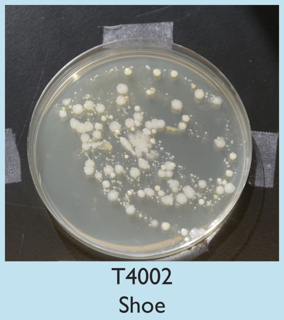 T4002-01 - Skidaway Institute of Oceanography