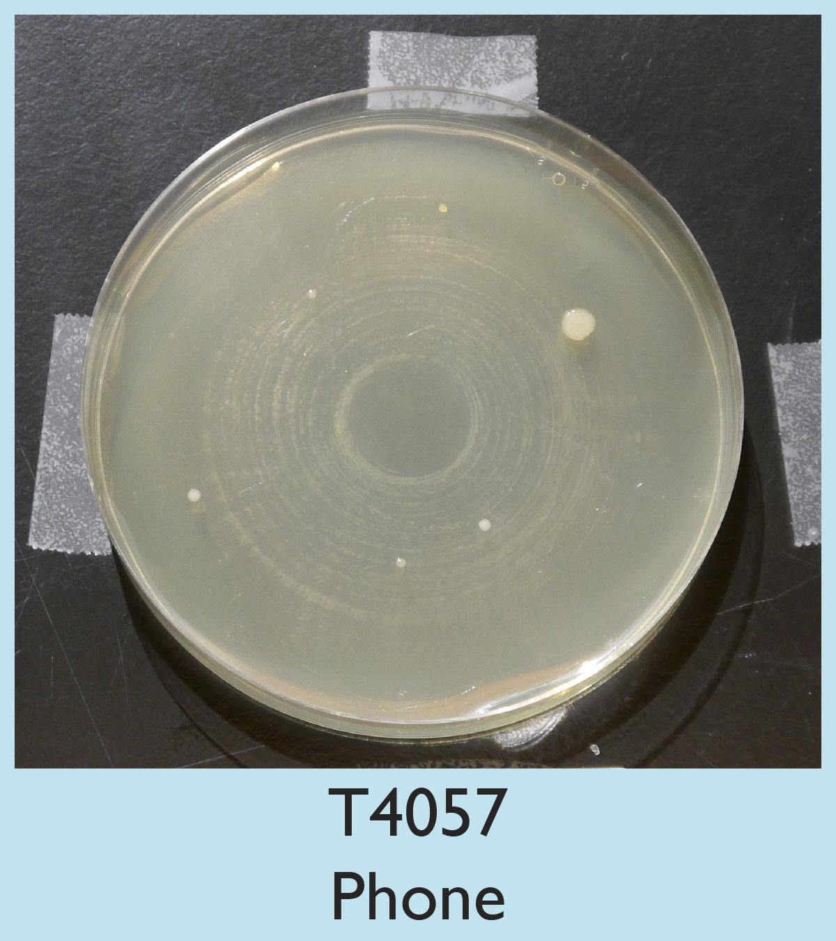 T4057-01 - Skidaway Institute of Oceanography