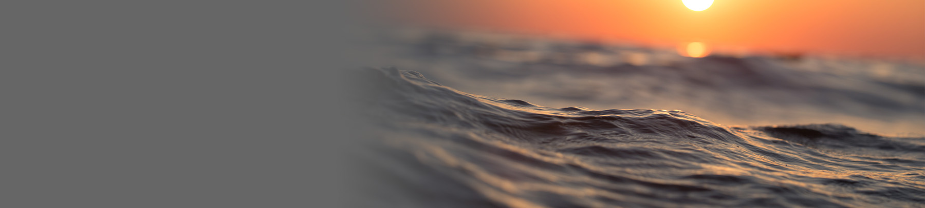 Research Staff - Skidaway Institute of Oceanography